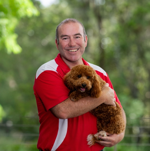 Meet the team – Real Estate Domain Team