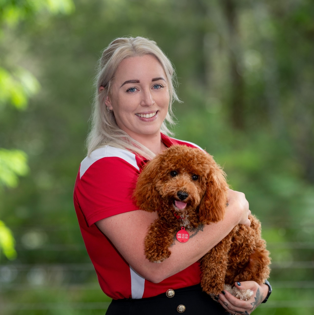 Meet the team – Real Estate Domain Team